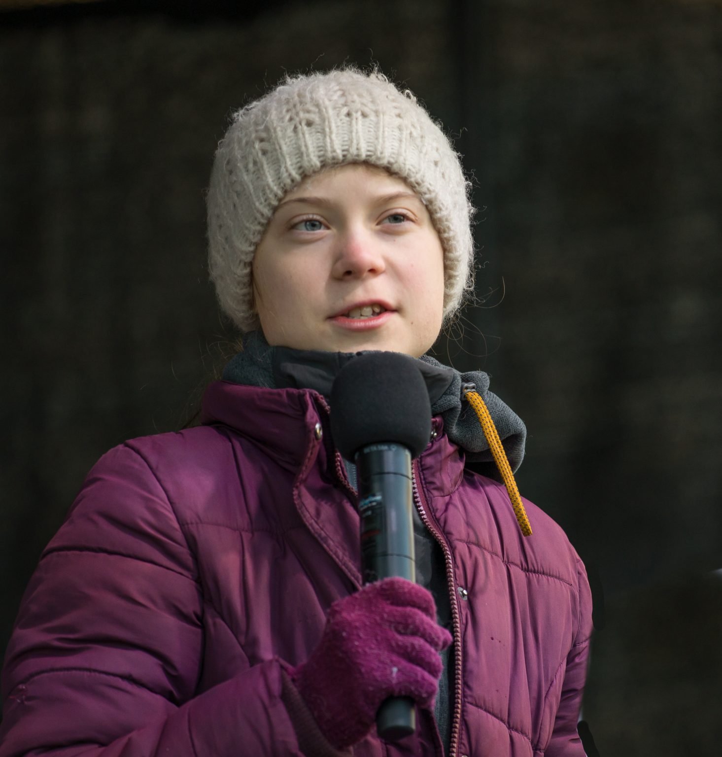 Greta Thunberg: the young activist who changed the global dialogue on ...